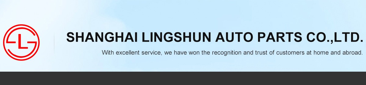 Shanghai Lingshun Auto Parts Co., Ltd.