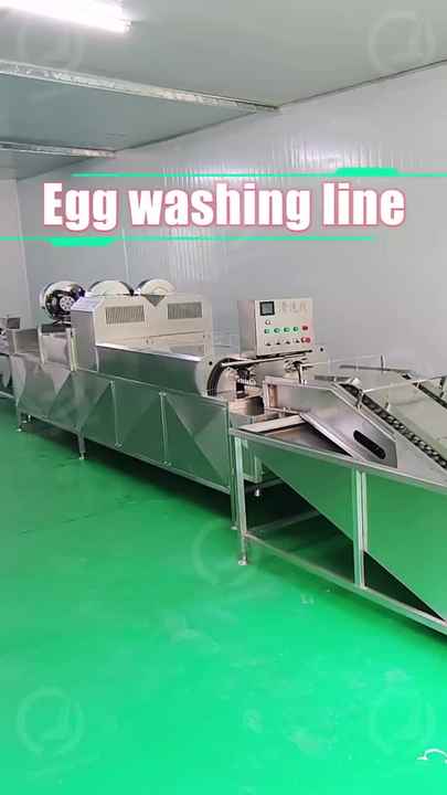 OCEAN Automatic Duck Egg Washer Machine Dirty Egg Clean Machine Quail ...