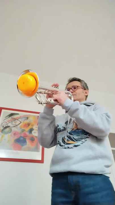 Best Price Cheap Plastic Pocket Trumpet DOLPHIN Bb Small Portable ABS ...