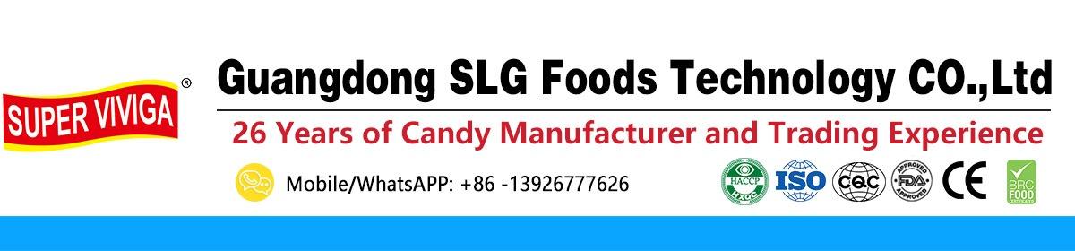 Company Overview - Guangdong Slg Foods Technology Co., Ltd.