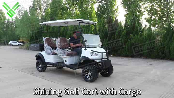 Custom Shining LSV 4 Seater Golf Cart - 50-70km/h Speed