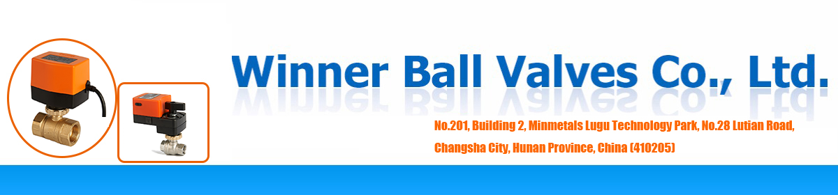 direct from Winner Ball Valves Company Limited in CN