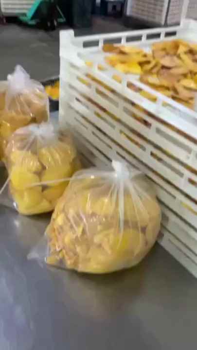 Super Yummy Sweet Taste Soft Dried Mango Vietnam Delicious Tropical ...