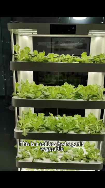 A-ONE RR-WE32 Plant Hydroponic System Smart Box Home Vegetable High ...