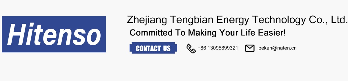 Zhejiang Tengbian Energy Technology Co., Ltd. - Electric power ...