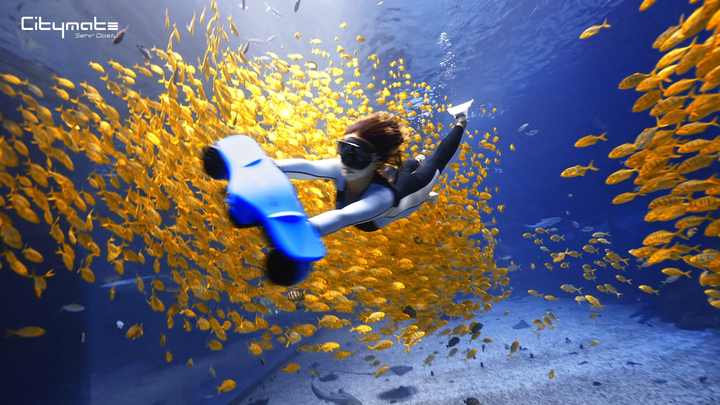 Electric Underwater Sea Bob Scooter Water Sports Equipment Dual Motor ...