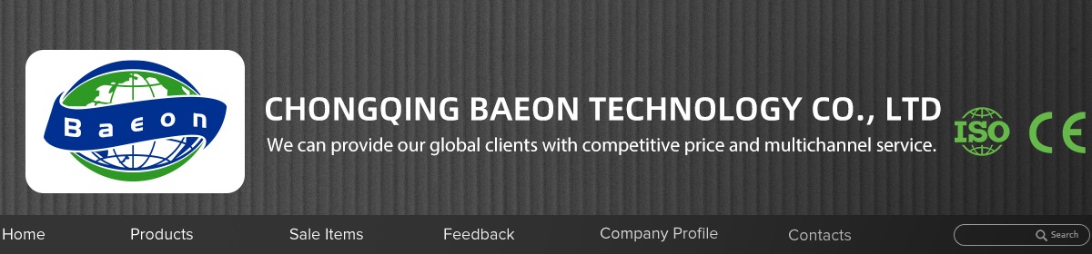 Company Overview - Chongqing Baeon Technology Co., Ltd.