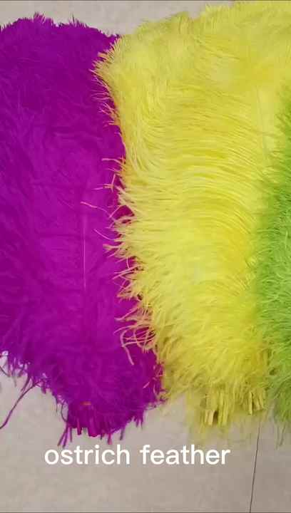 Large Black Ostrich Feathers for Decorative Centerpieces - Ideal for ...
