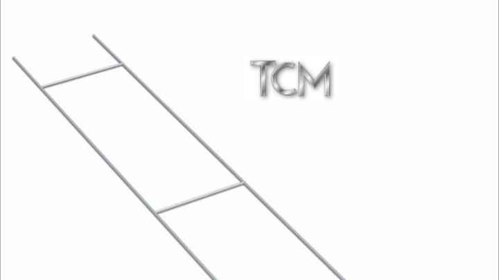 Hot Dipped Galvanized Stainless Steel Iron Ladder-Type Anti-Corrosion ...