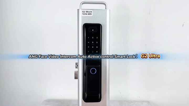 ANG Push Pull Keypad Luxury Door Locks 3d Face Palm Vein Recognition ...