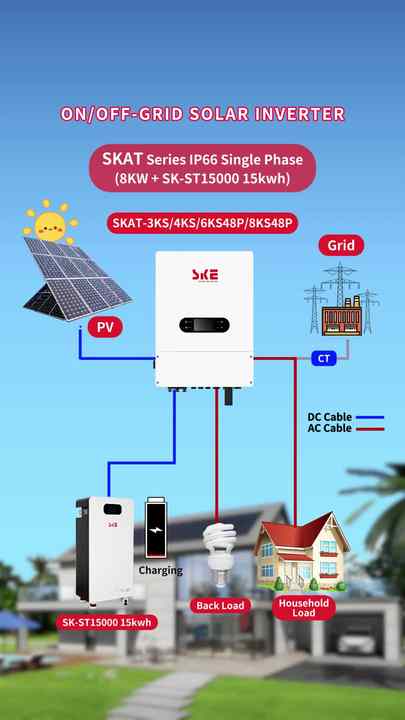 SKE 4KW IP66 Hybrid Inverter On-Off Grid 48V 220V/230V Solar Inverter ...