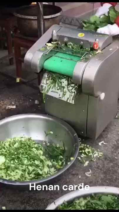 Spring Onion Seasoning Leaf Dry Leaf Strips Filaments Cutting Machine ...