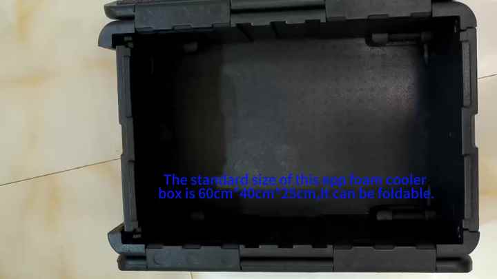 Customizable Foldable EPP Foam Thermal Cooler Box for Outdoor Camping ...