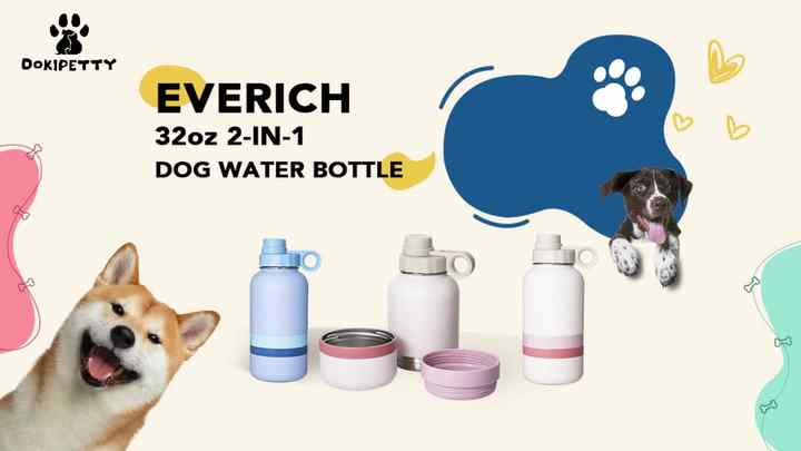 Everich Custom Logo 3 in 1 Portable Stainless Steel Pet Feeder