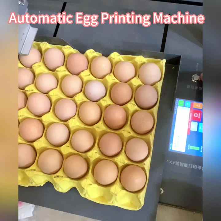 High Speed Egg Printing Machine - Inkjet Egg Printer