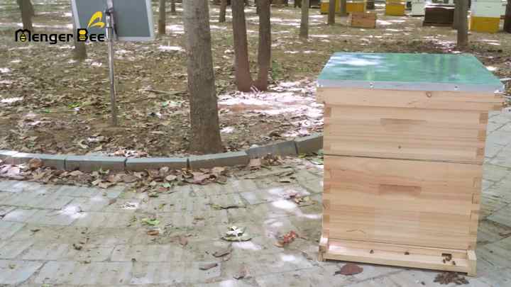 New Menger Bee Easy Assemble Portable 2 Layer Langstroth Fir Wood Bee ...