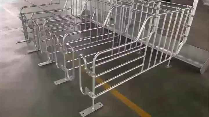 Gestation Pig Cages - Durable and Long-Lasting Solutions