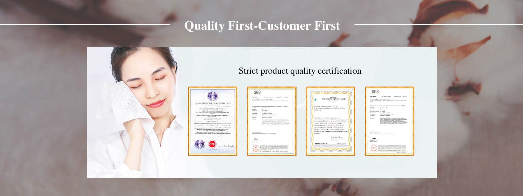 Haining Lily Cleaning Products Co., Ltd. - WetWipe, CleaningCloth