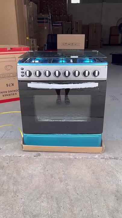 X Electric Oven +6 Gas Stove Black burner Vertical Stove, Frosted ...