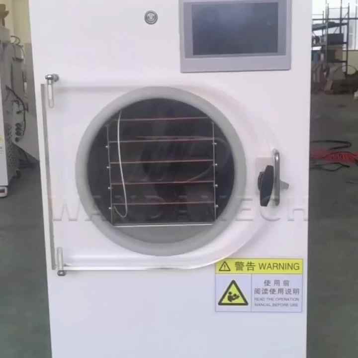 Compact Electric 220V Vacuum Freeze Dryer Machine for Candy Home Use ...