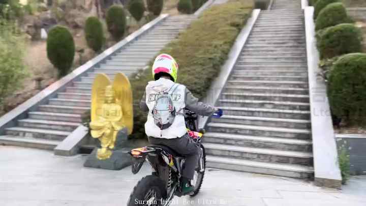 Surron Light Bee X Electric Bicycle - off Road Performance