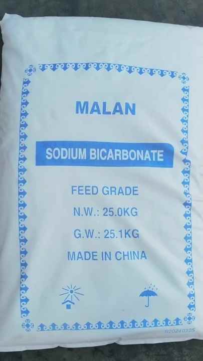 25kg Bag of Food Grade Sodium Bicarbonate (NaHCO3) Baking Soda Powder ...