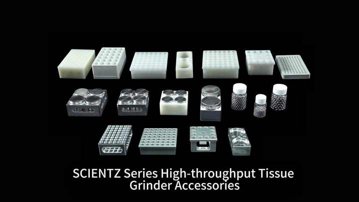 SCIENTZ-24 High Throughput Tissue Grinder Homogenizer Ball Mill ...