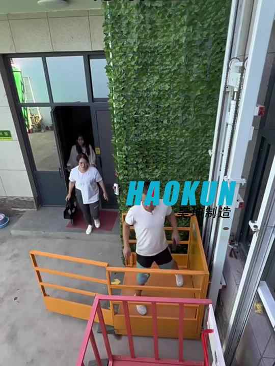Custom 3m 6m 10m Goods Lift Electric Elevator for Person & Freight