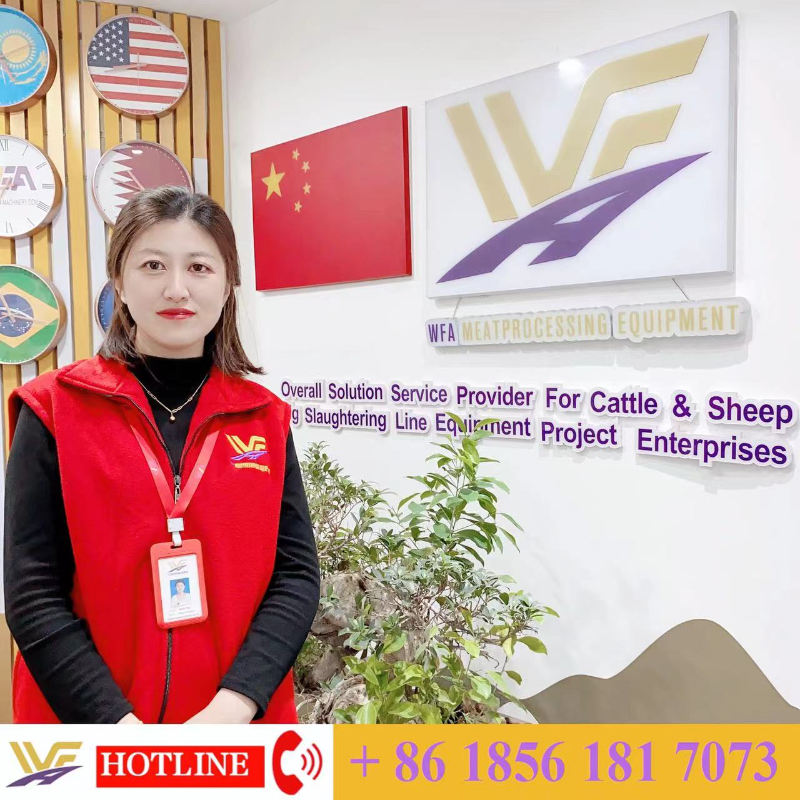 Cattle Slaughterhouse Line Slaughter House Equipment Cow Killing ...