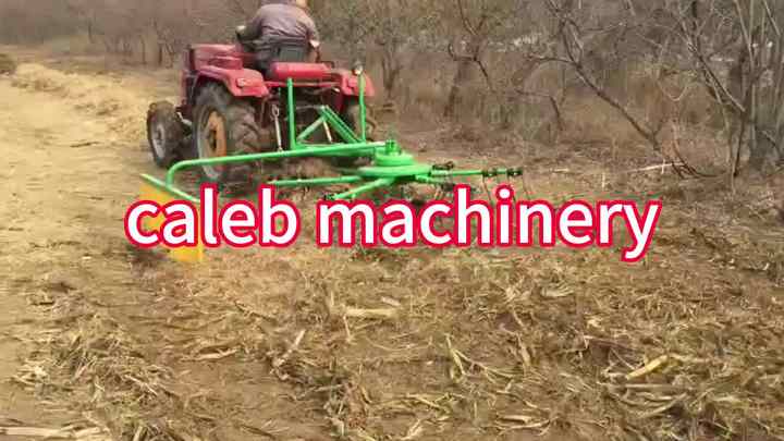 Factory Outlet Agricultural Rake Walk Behind Tractor Rake with Bearing ...