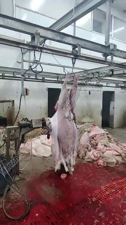 Sheep Hide Puller Machine Mutton Goat Skin Peeling Machine Sheep and ...