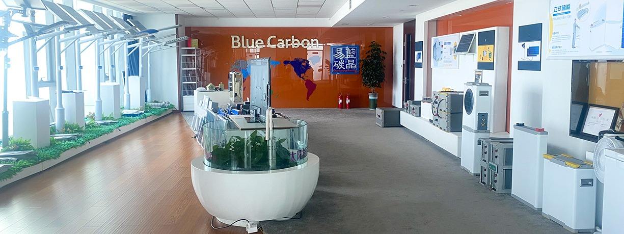 Blue Carbon Technology Inc. - Solar Light, LiFe PO4 Battery Pack