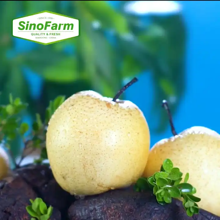 Frozen Crown Ya Pears - Fresh Chinese Fruit from Hebei, Sweet and Juicy ...