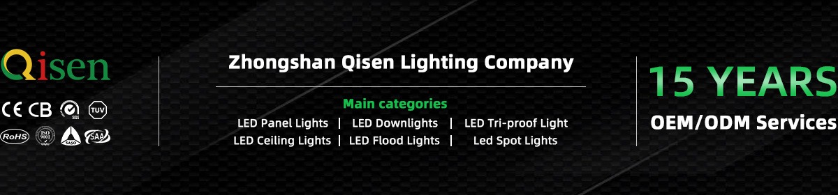 Company Overview - Zhongshan Qisen Lighting Company