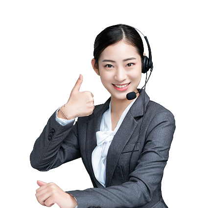 LBMC Lingbo 72152K3AP Brushless DC Controller for Electric Motorcycles