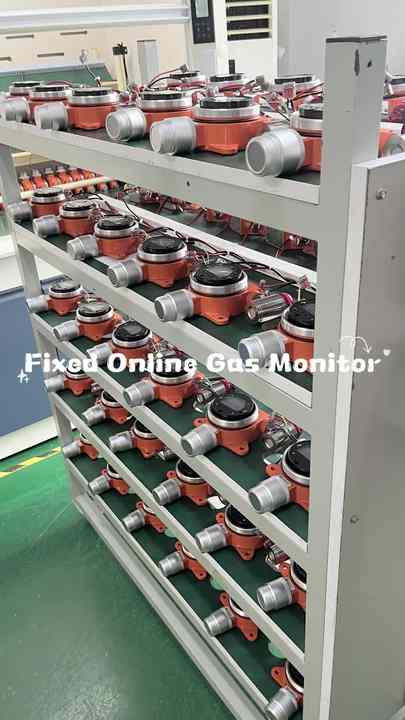 Safewill ES10B Oxygen Gas Monitor - Real Time & Explosion-proof