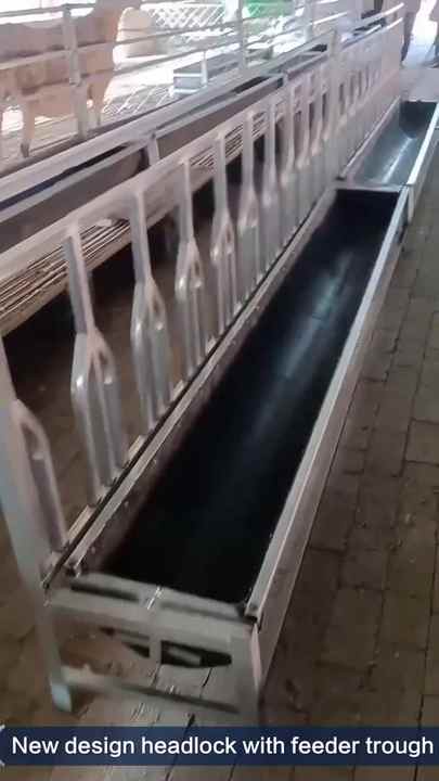 Flip Dump Sheep Goat Positioning Feeding Trough Feeder With Fence | End ...