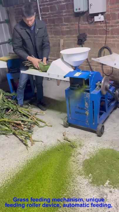 Feed Grinder Farm Grass Shredder for Sale Grass Corn Maize Silage Wheat ...