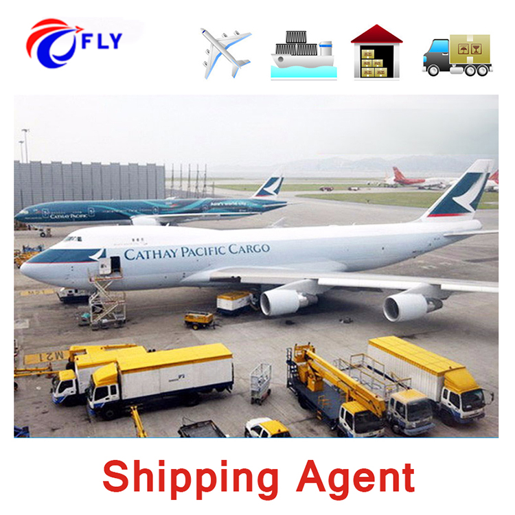 Shenzhen Fly International Logistics Co., Ltd. - Yoga set