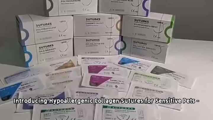Veterinary Surgical Instruments Medical Nylon Non-Absorbable Suture ...