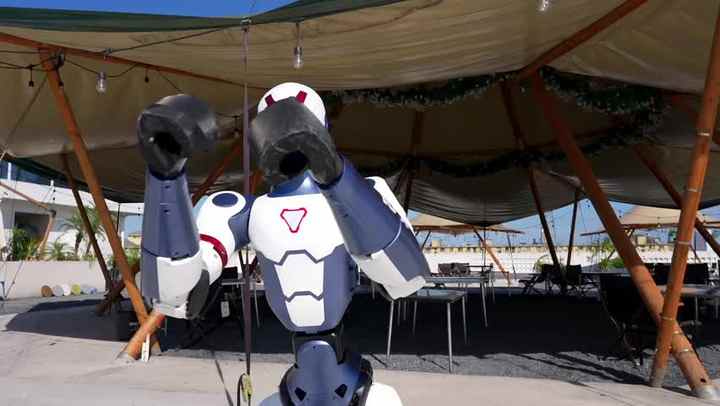 Unitree R1 Humanoid Robot - Customize & Control with Ease