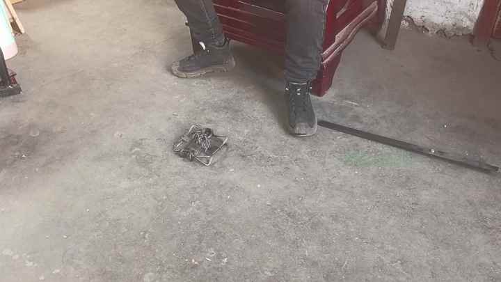 Rodent Traps - Powerful Coil Spring Traps for Small Vermin