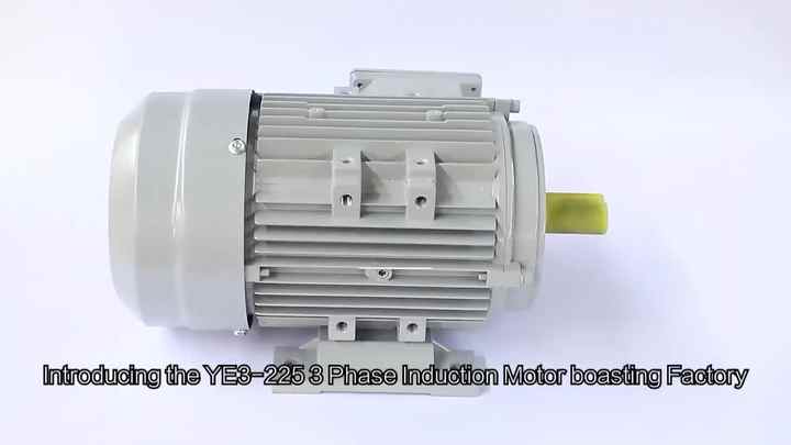 22kw 40hp 10hp Three Phase Induction Motor IE3 Efficiency IP55 ...