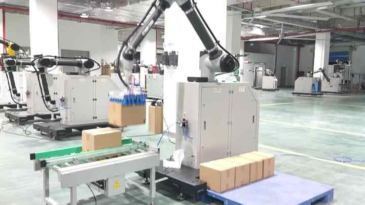 Automatic Cobot Robot Palletizer Arm Gripper Carton Case Palletizer Stacking Robotic Palletizing