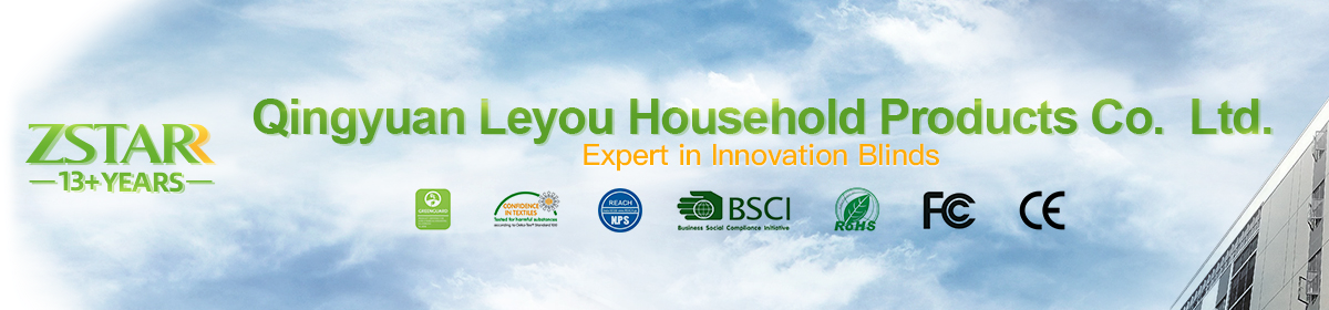 Company Overview - Qingyuan Leyou Household Products Co., Ltd.