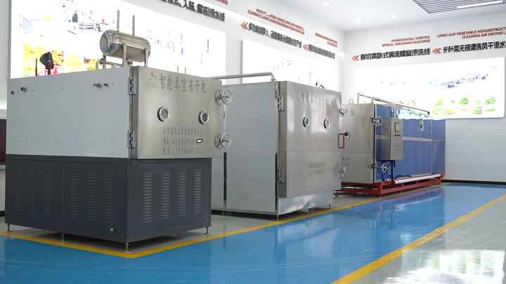 CE Industrial High-quality Freeze Dryer Equipment Strawberry Tea ...