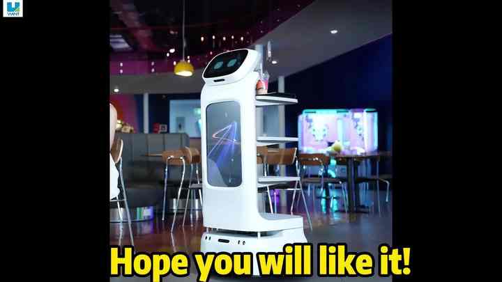Humanoid Service Robot Robot Waiter for Restaurant Self-Service Food ...
