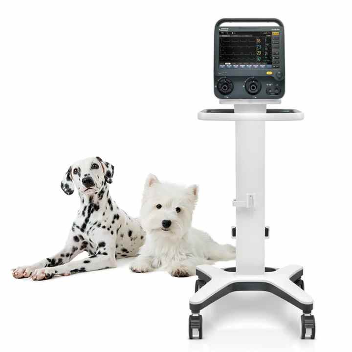 Mindray SV300 Vet Ventilator for Dog ICU Use Reusable Surgical ...
