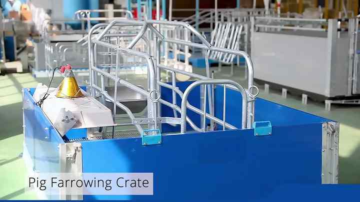 Pig Farrowing Cage Pig Farming Equipment Automatic Maternity Cages for ...