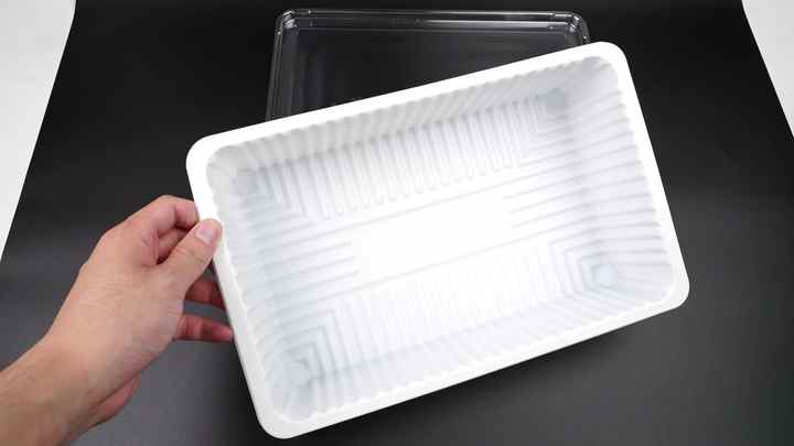 Multiple Intervals Blister Plastic Disposable Frozen Food Tray Food ...